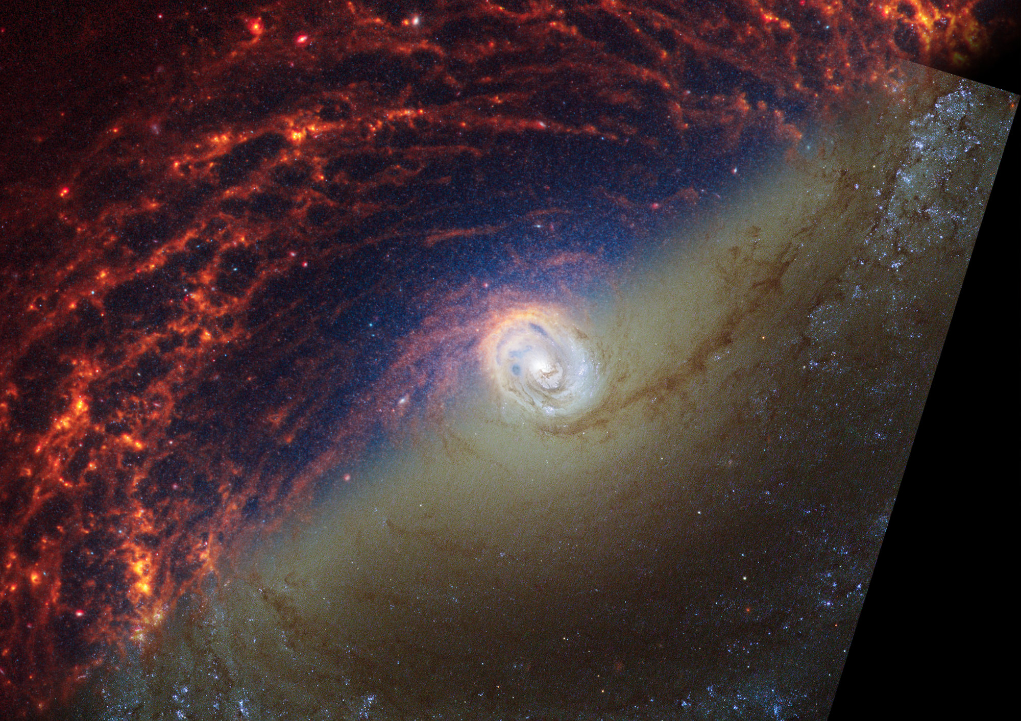 Webb and Hubble's Views of Spiral Galaxy NGC 1433 - NASA Science