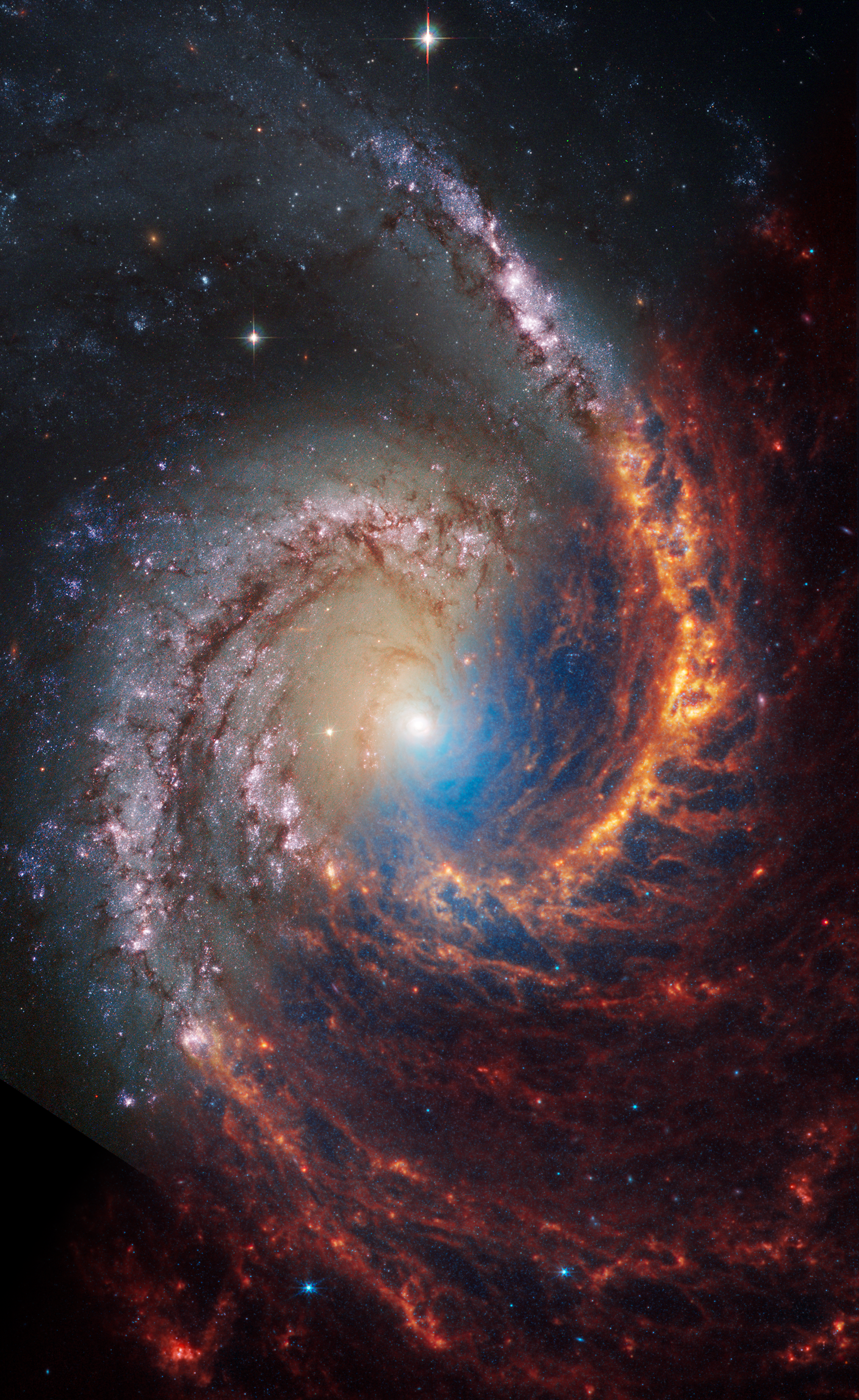 Webb and Hubble's Views of Spiral Galaxy NGC 1566 - NASA Science