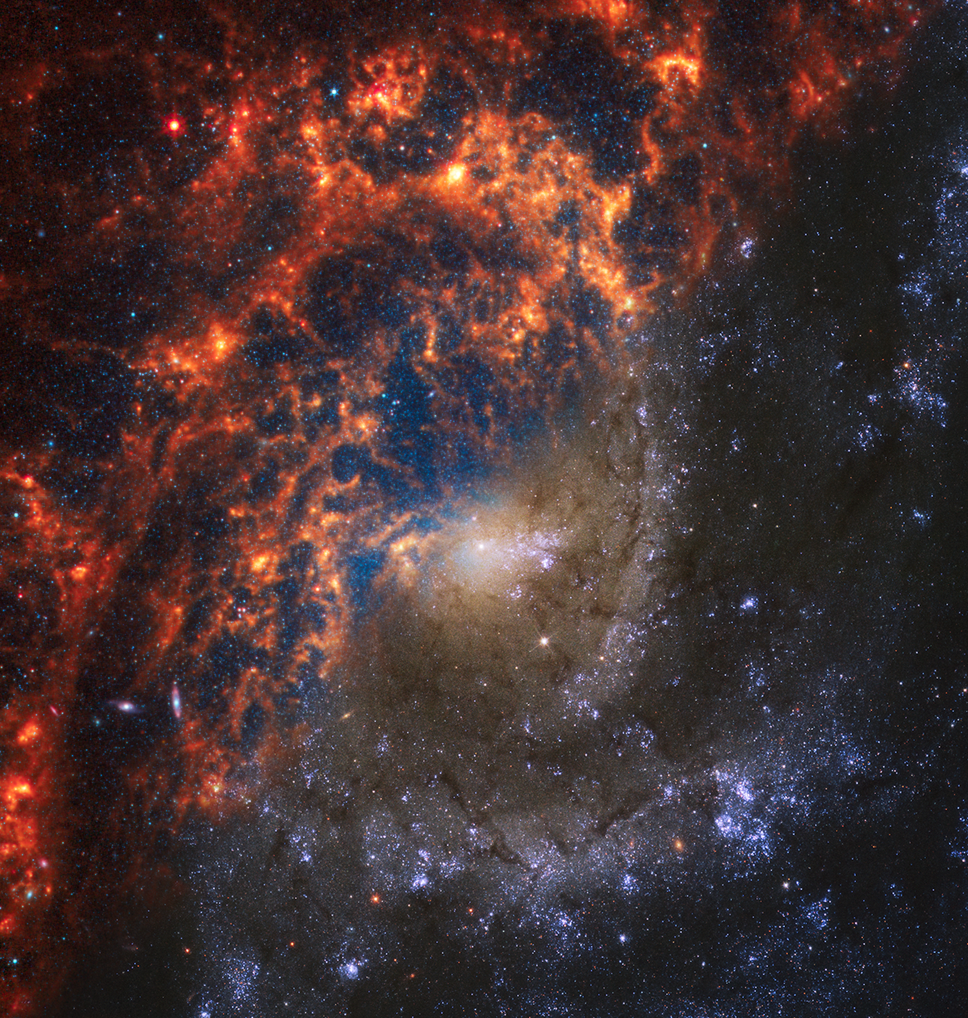 Webb and Hubble's Views of Spiral Galaxy NGC 2835 - NASA Science