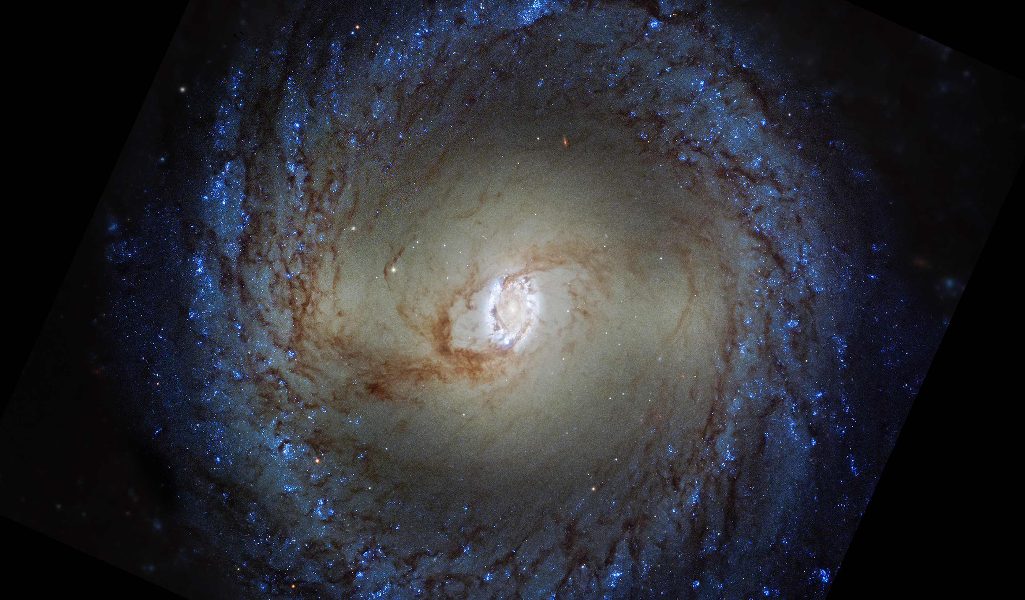 Webb and Hubble's Views of Spiral Galaxy NGC 3351 - NASA Science