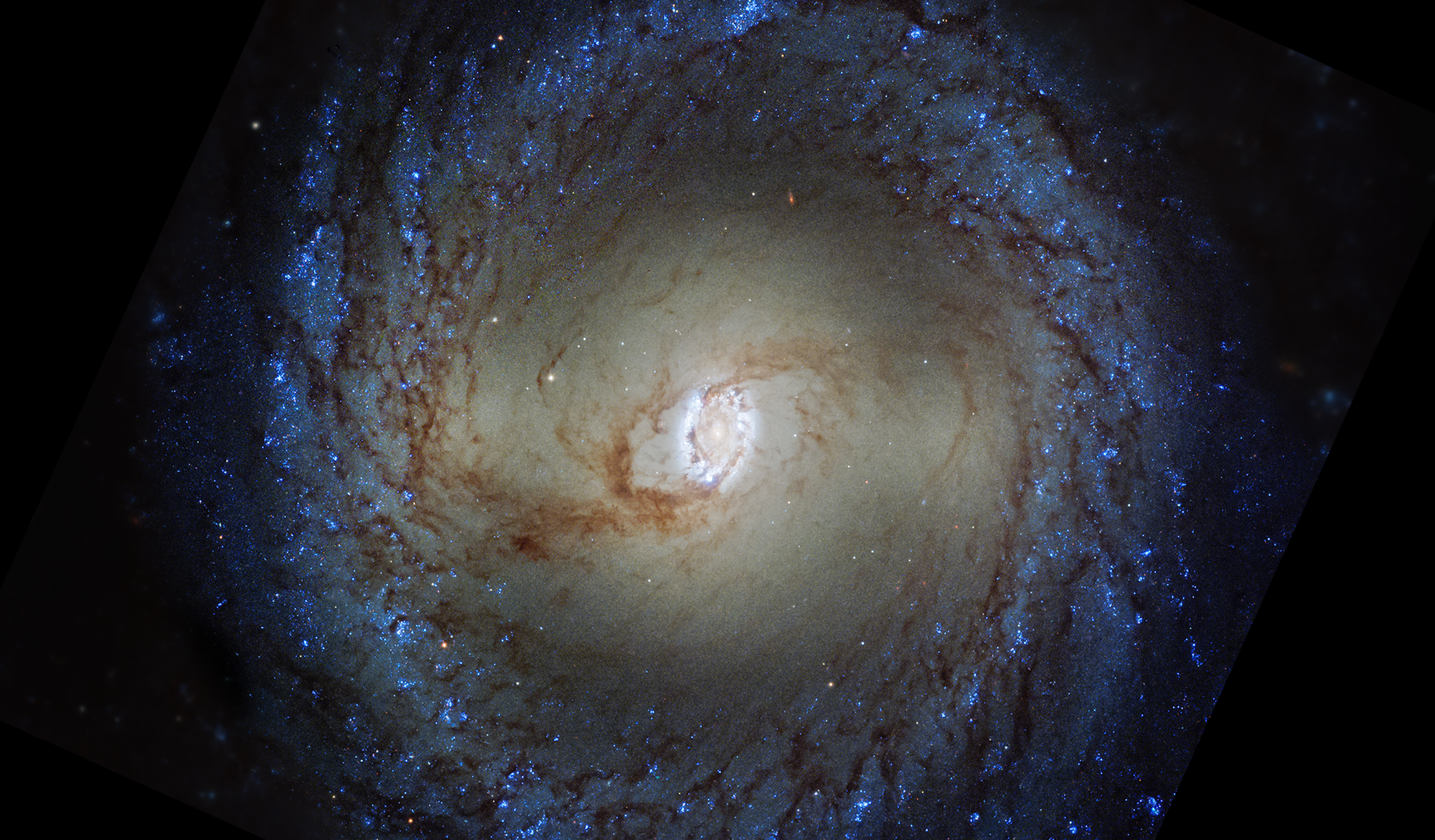Webb and Hubble's Views of Spiral Galaxy NGC 3351 - NASA Science