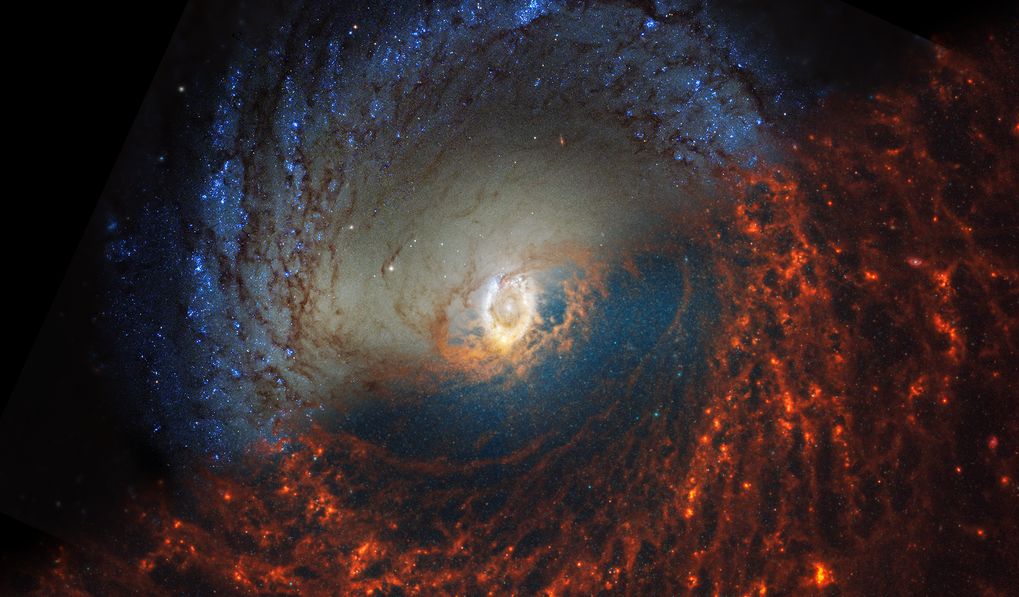 Webb and Hubble's Views of Spiral Galaxy NGC 3351 - NASA Science