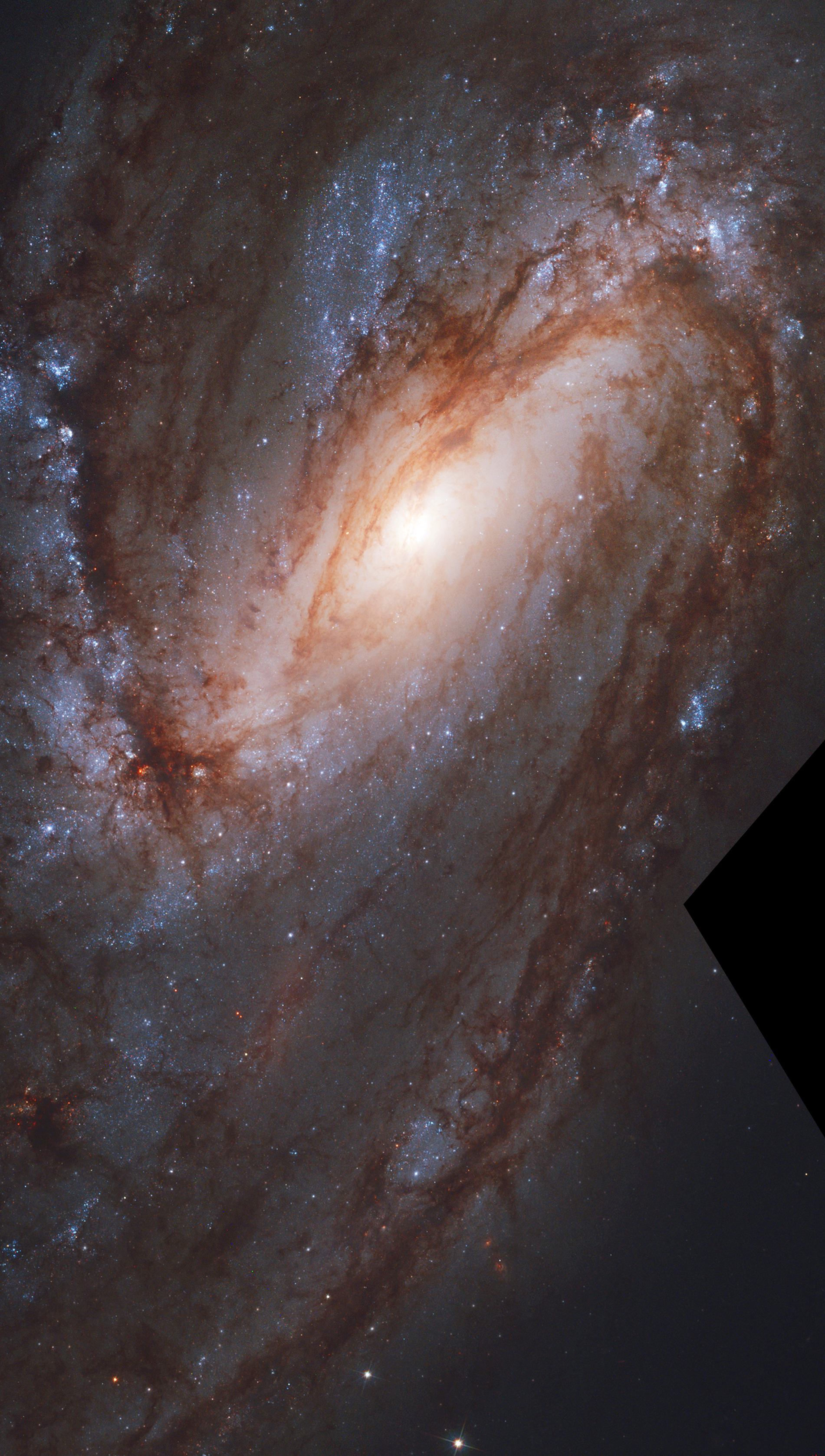 Webb and Hubble's Views of Spiral Galaxy NGC 3627 - NASA Science