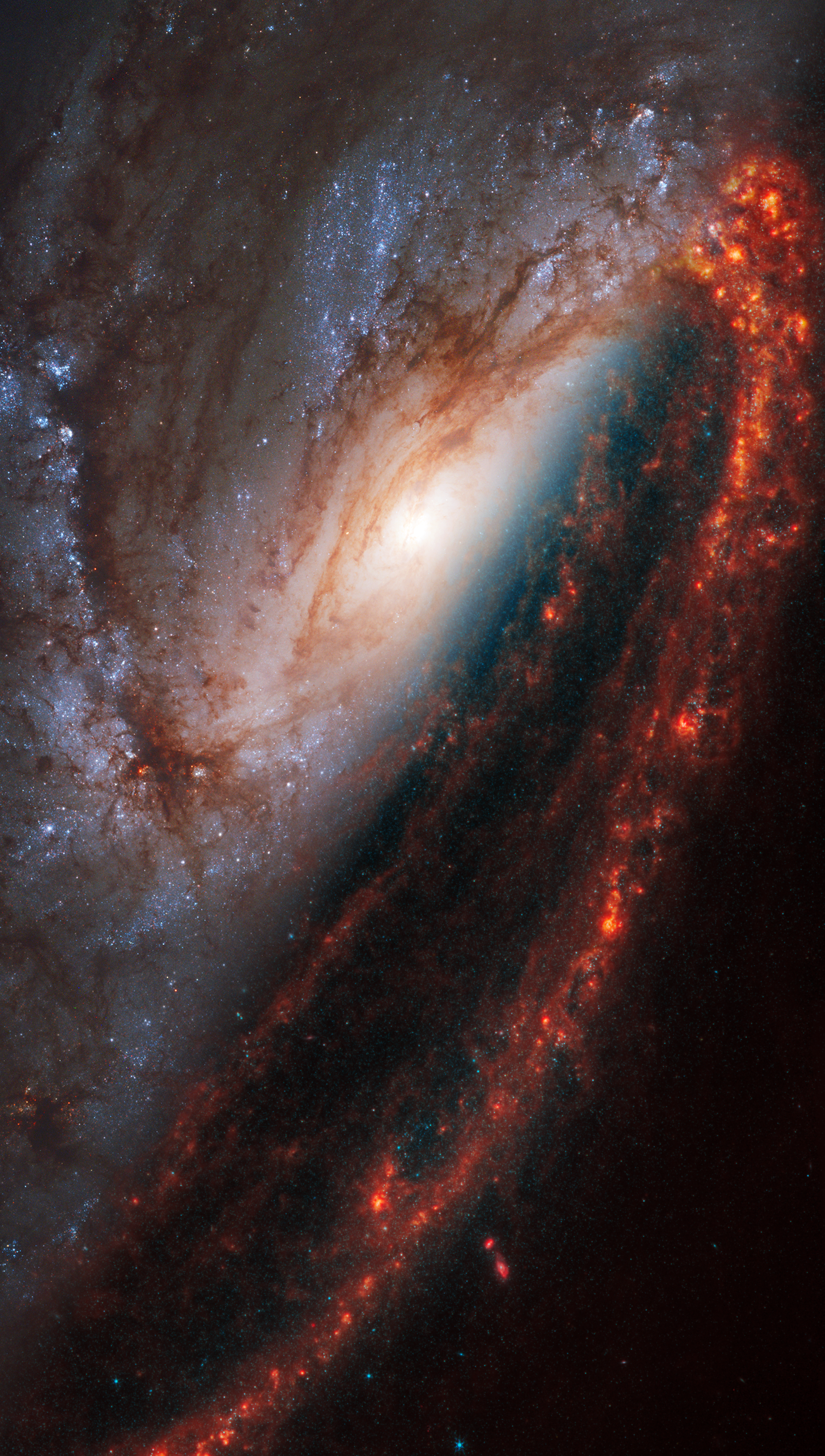 Webb and Hubble's Views of Spiral Galaxy NGC 3627 - NASA Science