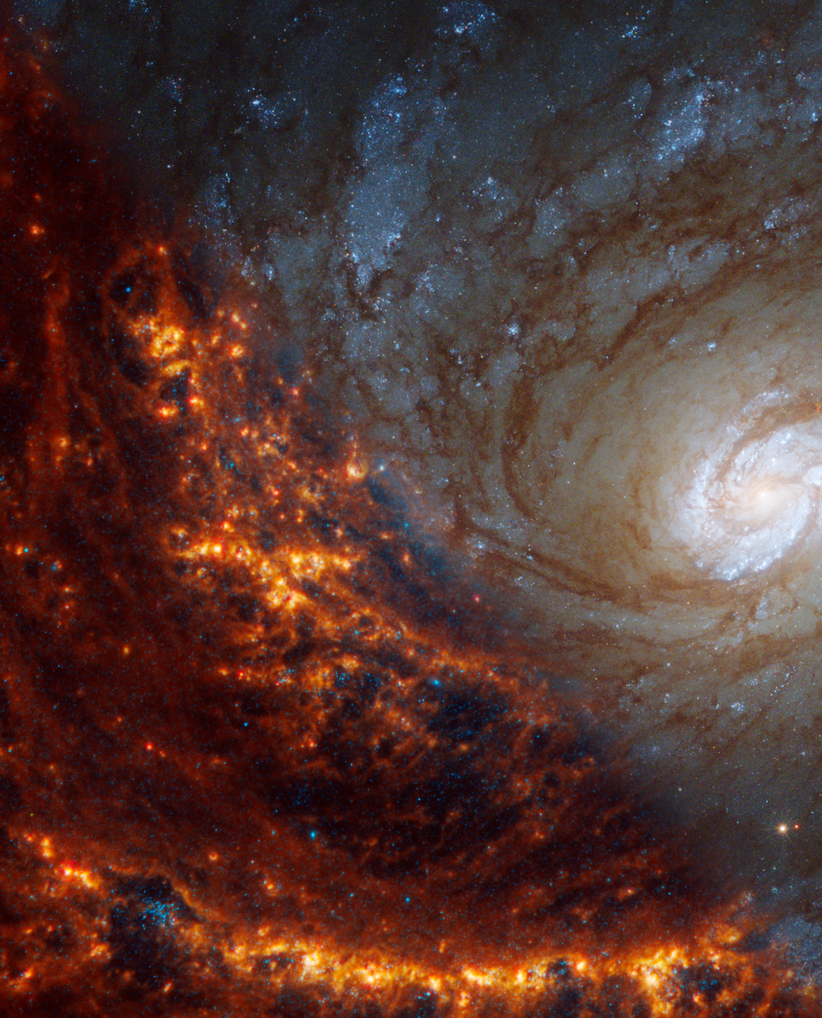 Webb and Hubble's Views of Spiral Galaxy NGC 4321 - NASA Science