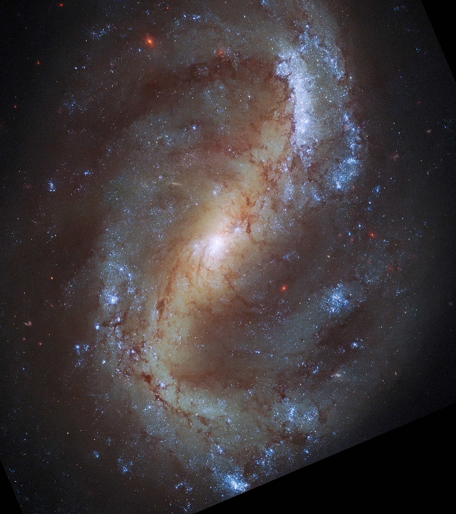 Webb and Hubble's Views of Spiral Galaxy NGC 7496 - NASA Science