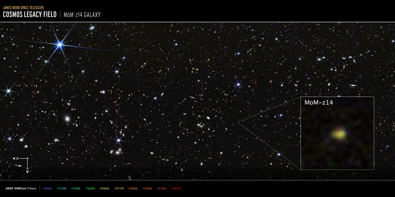COSMOS Field MoM-z14 Galaxy (NIRCam Compass Image) - NASA Science