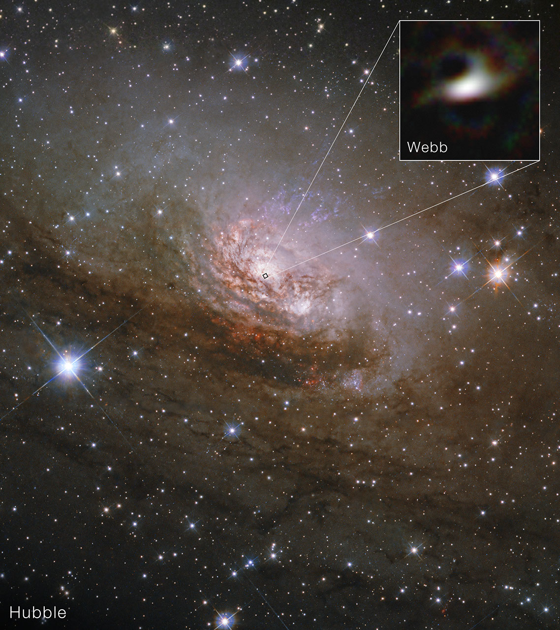 NASA’s Webb Delivers Unprecedented Look Into Heart of Circinus Galaxy ...