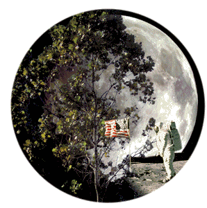 Apollo "Moon Trees" - NASA Science