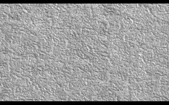Terrain Type for Phoenix Landing - NASA Science