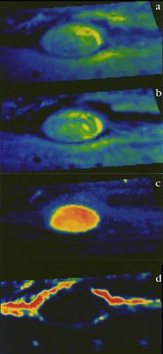 NIMS Spectral Maps of Jupiter's Great Red Spot - NASA Science