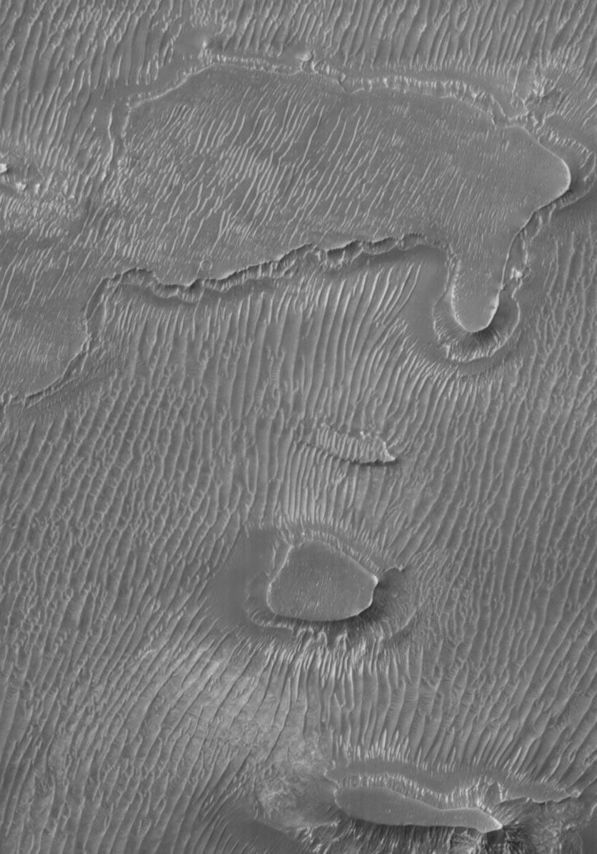 Melas Chasma Floor - NASA Science