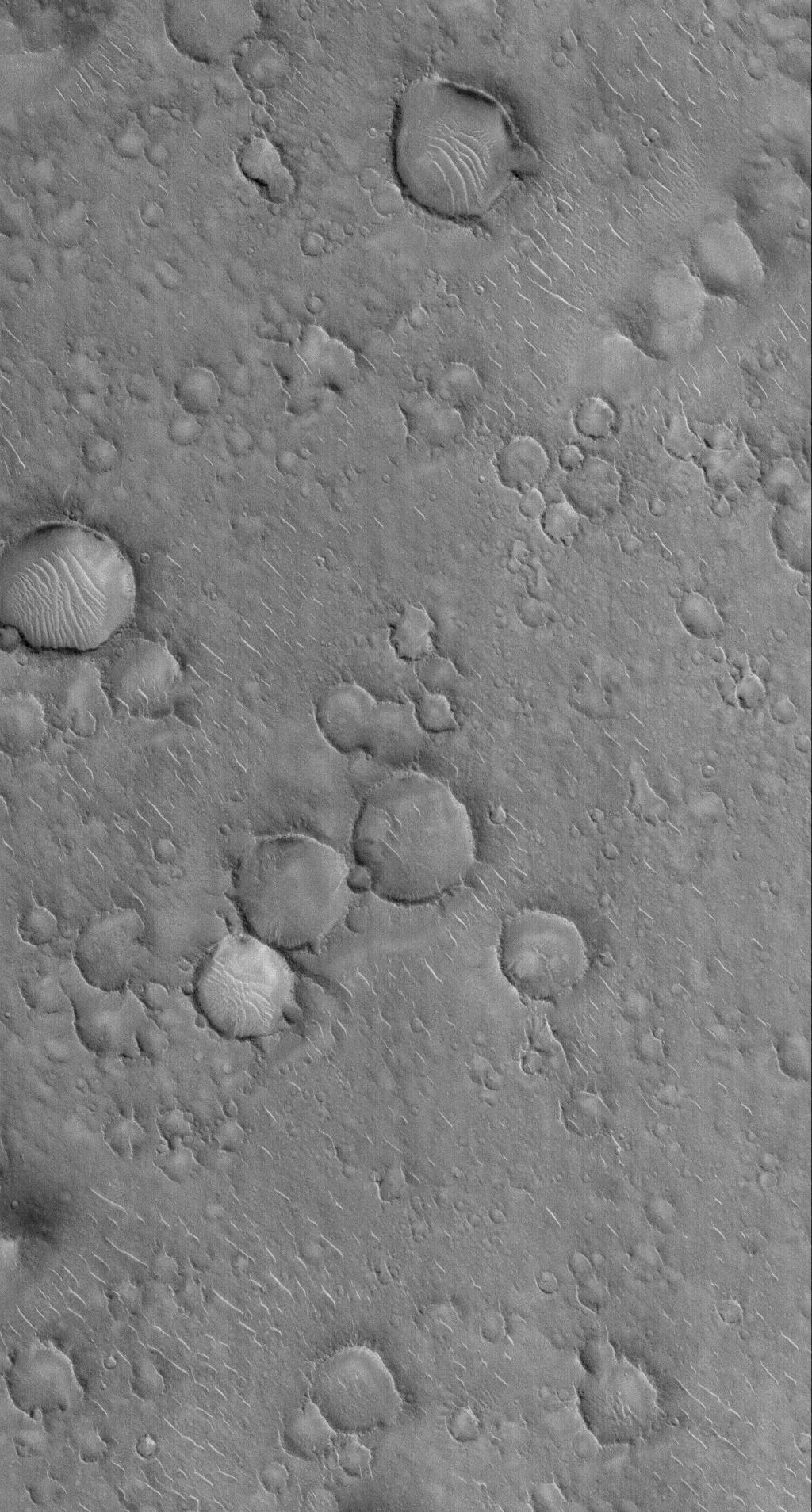 Isidis Planitia - NASA Science