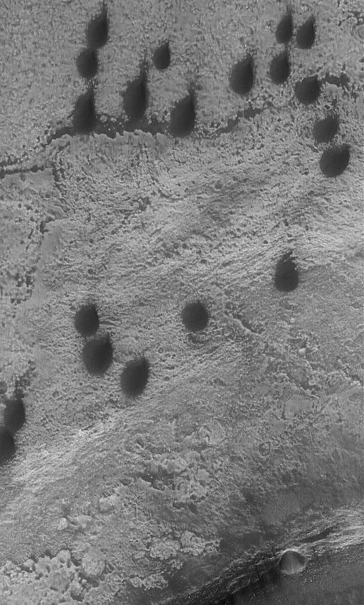 Copernicus Dunes - NASA Science