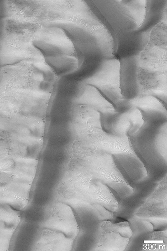 Richardson Dunes in Summer - NASA Science