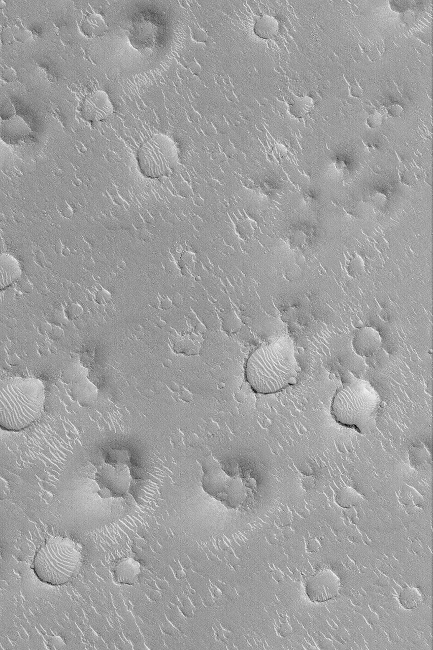 Isidis Planitia - NASA Science
