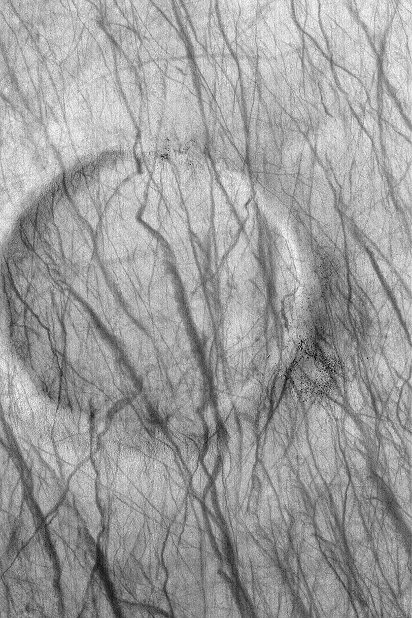 Devil-Streaked Crater - NASA Science