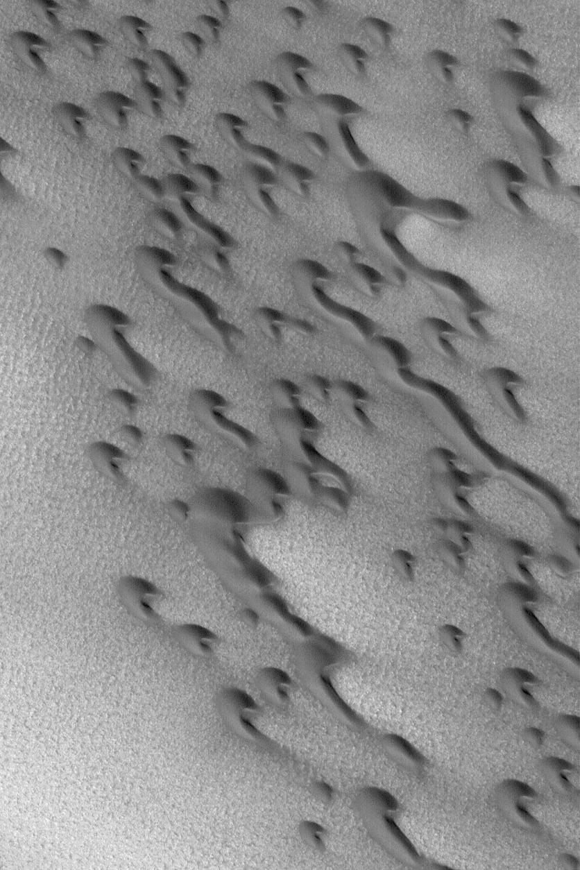 Polar Barchans - NASA Science