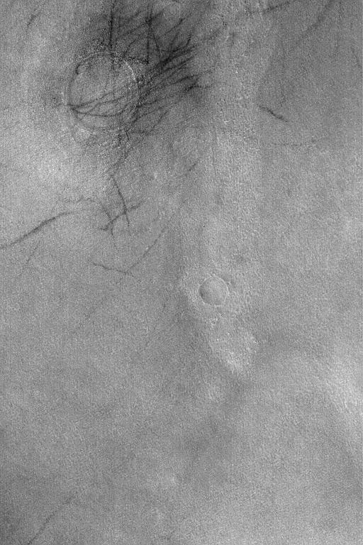 Diacria Scene - NASA Science