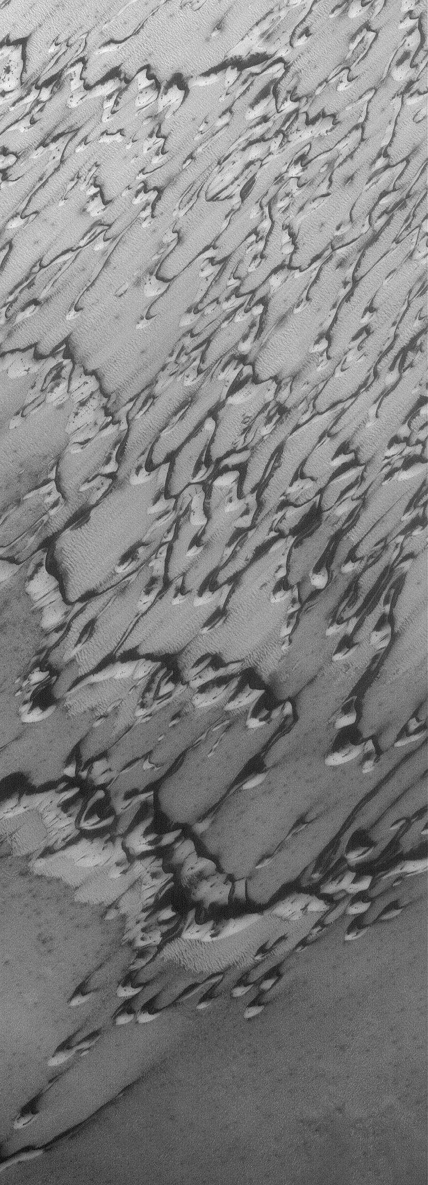 Springtime Dunes - NASA Science