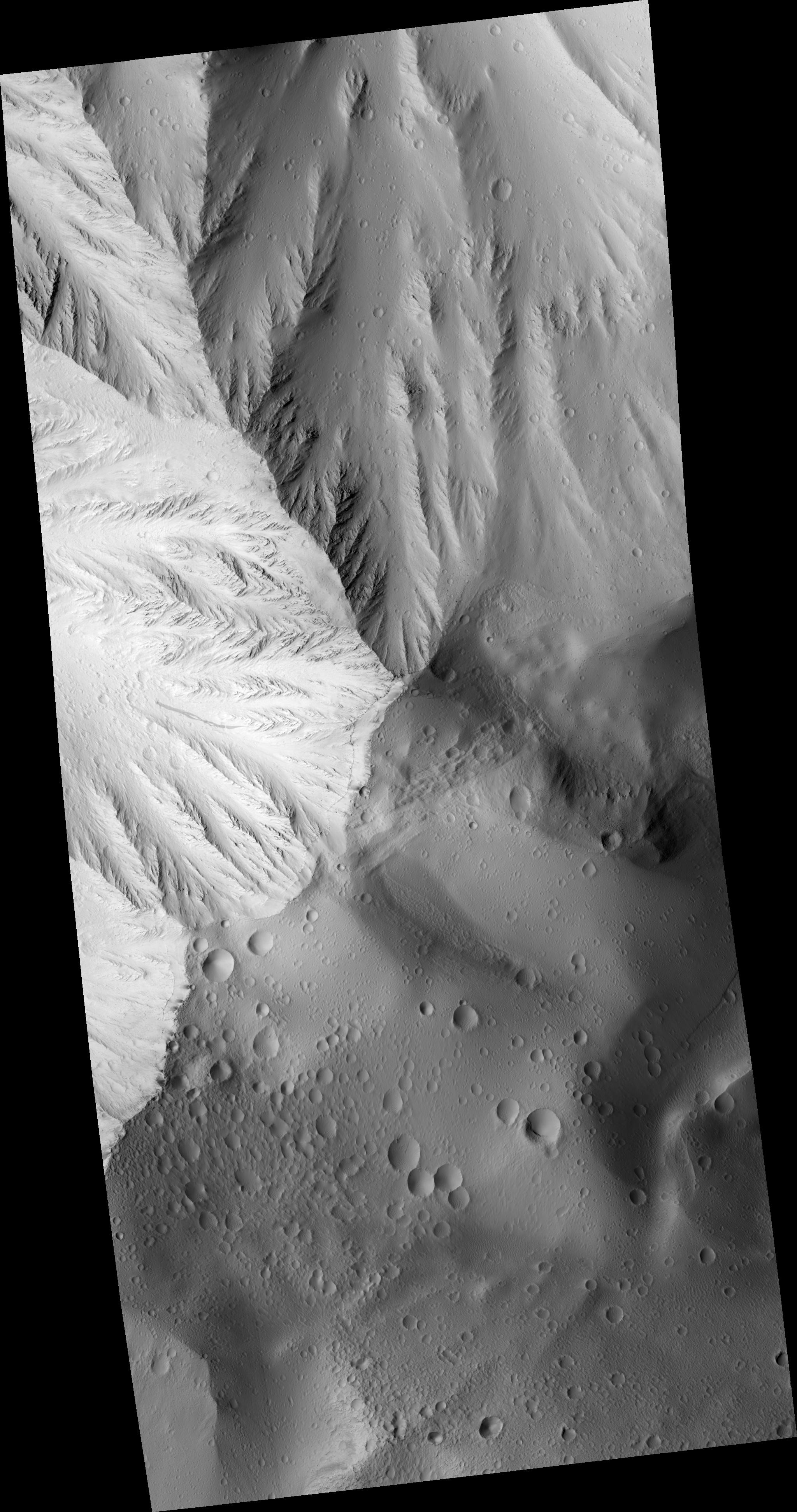 Layers in Olympus Mons Basal Scarp - NASA Science