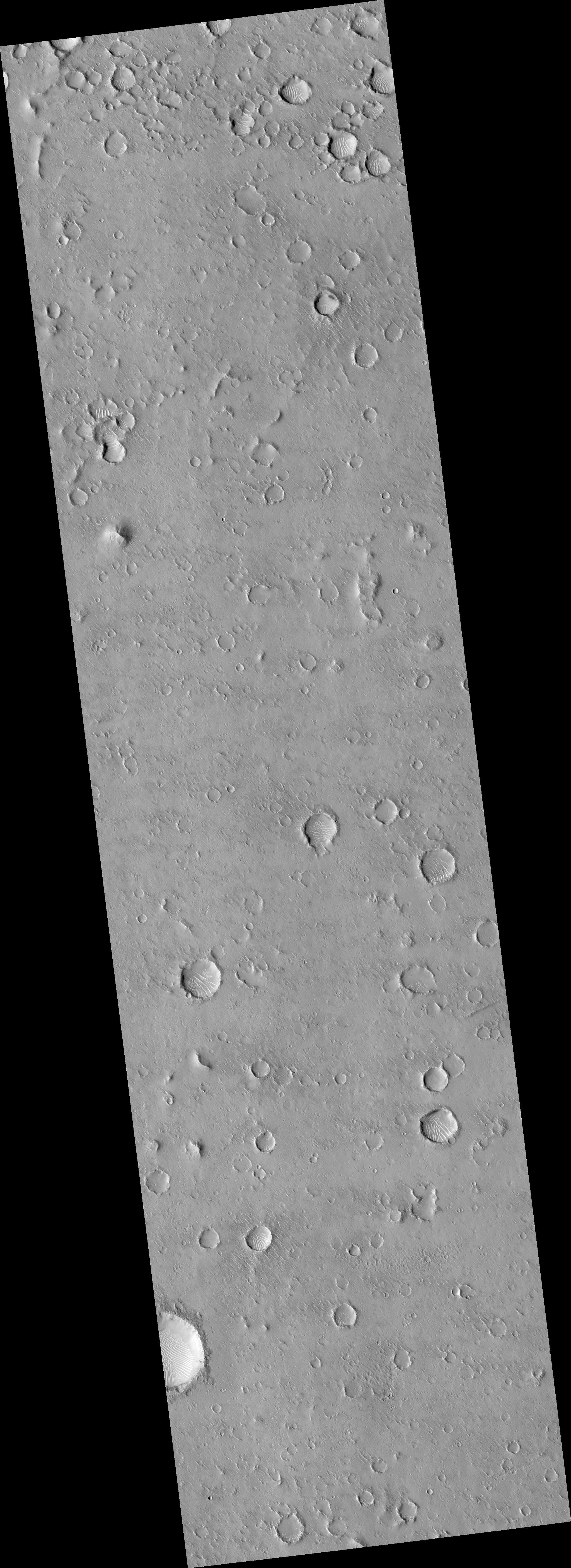 Joint Observation of the Isidis Basin with the Rosetta Mission - NASA ...
