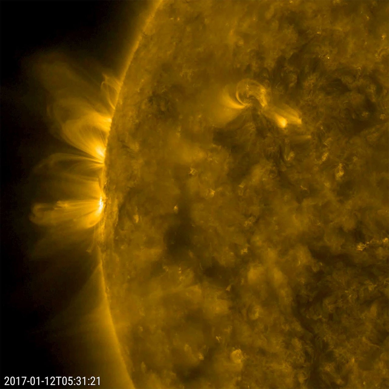 Organized Arches - NASA Science