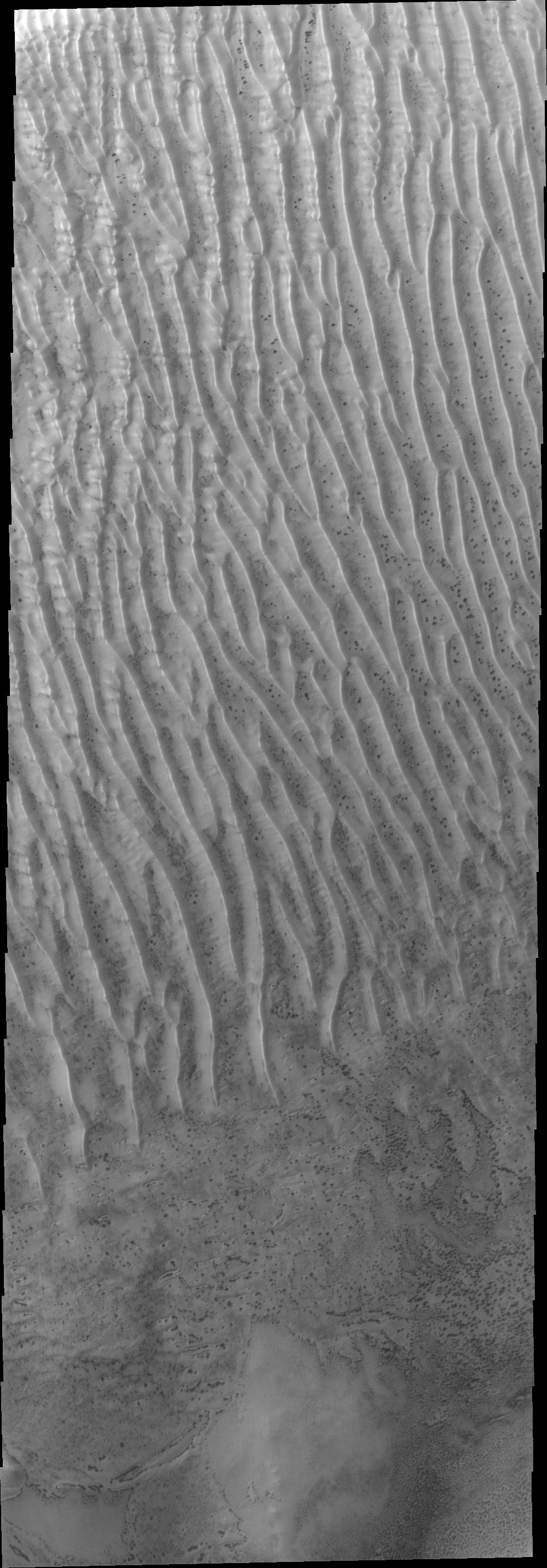 Richardson Crater Dunes - NASA Science
