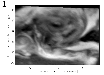 Swirling Vortex - NASA Science
