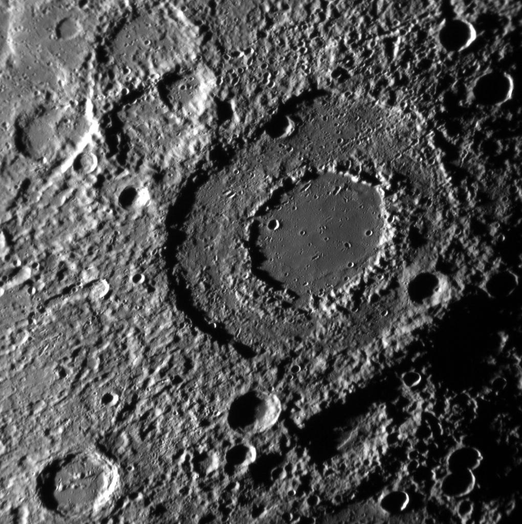 Turtle Power! - NASA Science