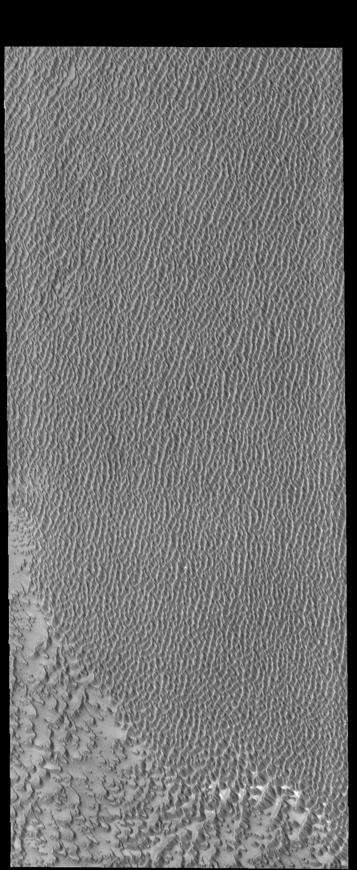 Investigating Mars: Siton Undae - NASA Science