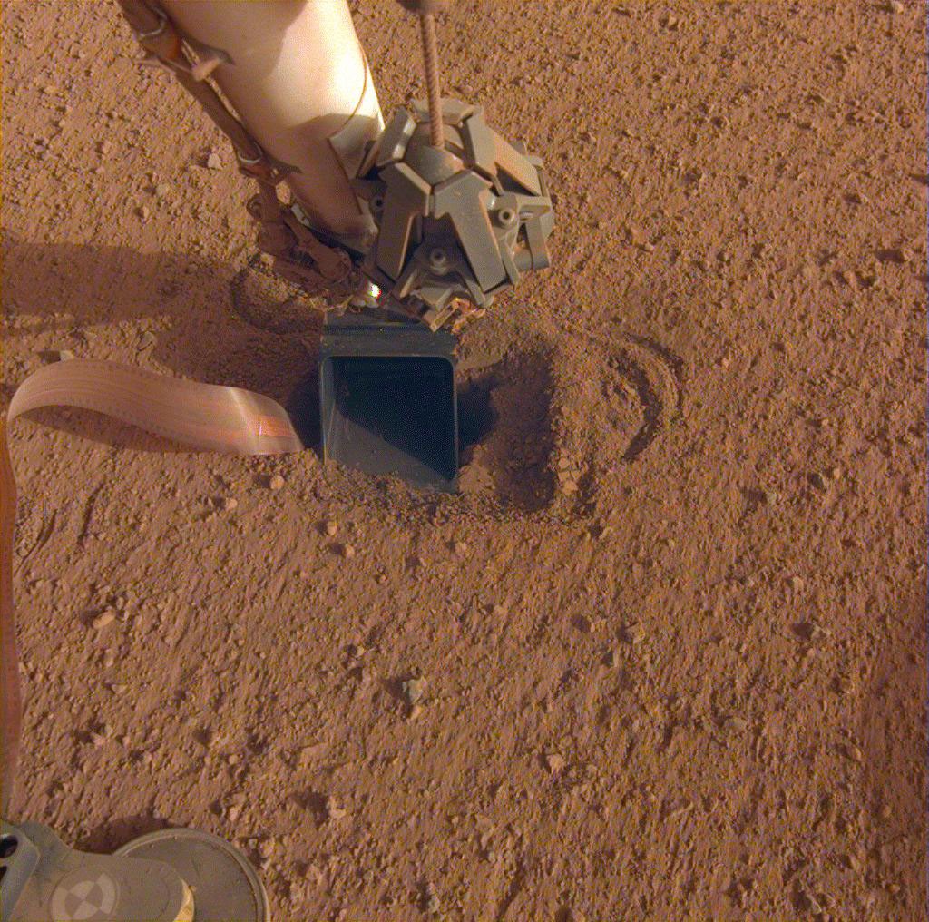 NASA InSight's Mole Taps the Bottom of the Lander's Scoop - NASA Science