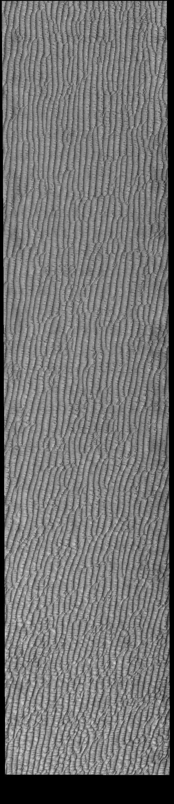 Olympia Undae - NASA Science