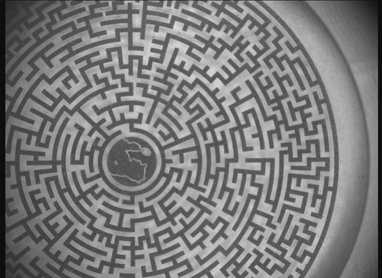 SHERLOC's Labyrinth Calibration Target - NASA Science