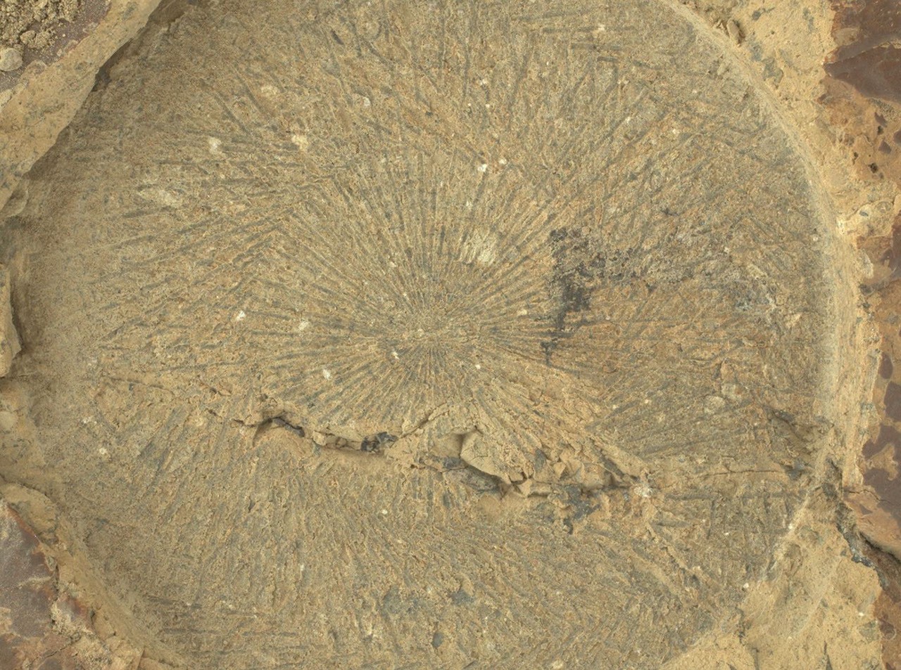 Zooming in on Perseverance Rover's 'Kenmore' Abrasion Patch - NASA Science