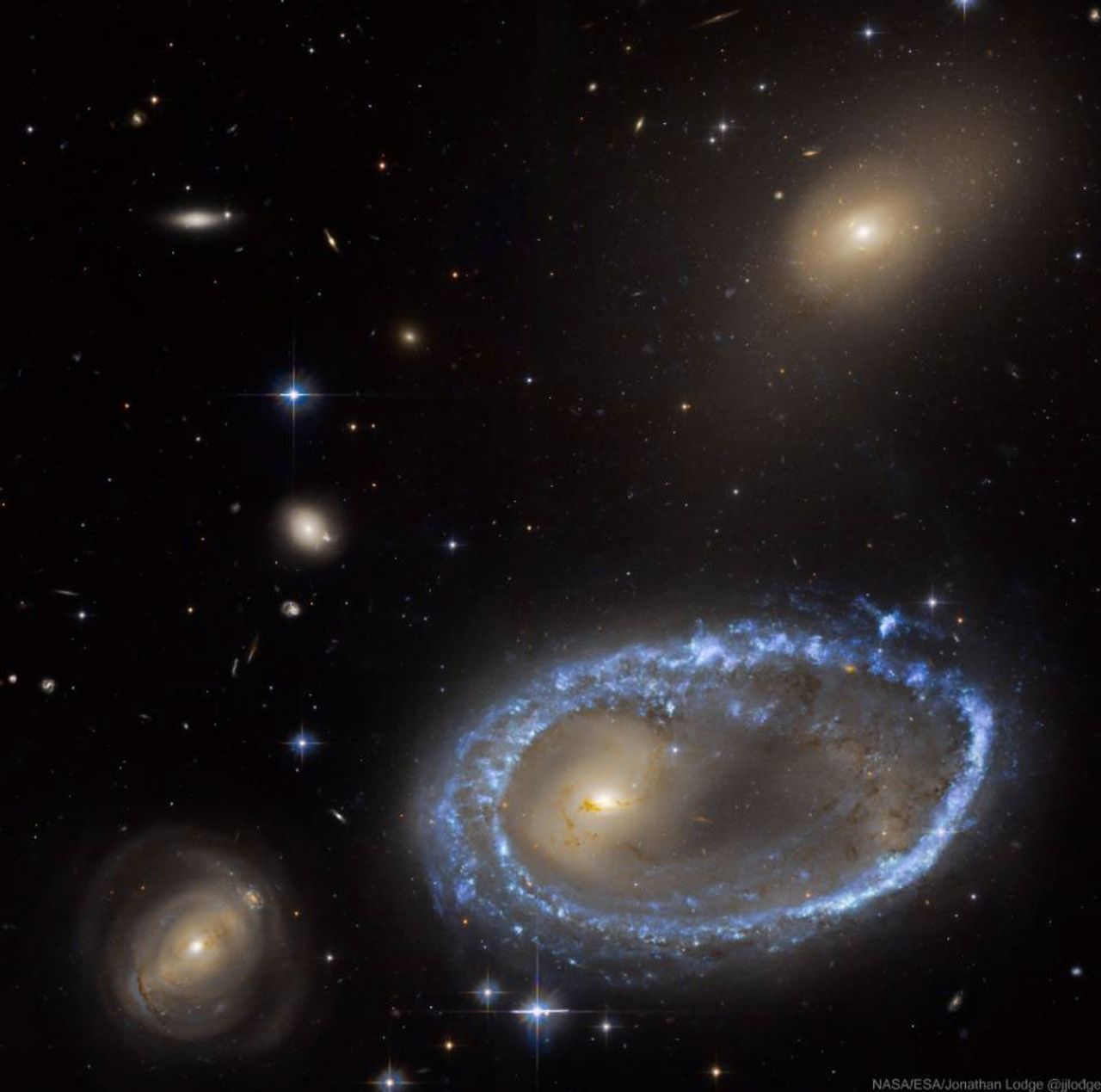 Evolution - NASA Science