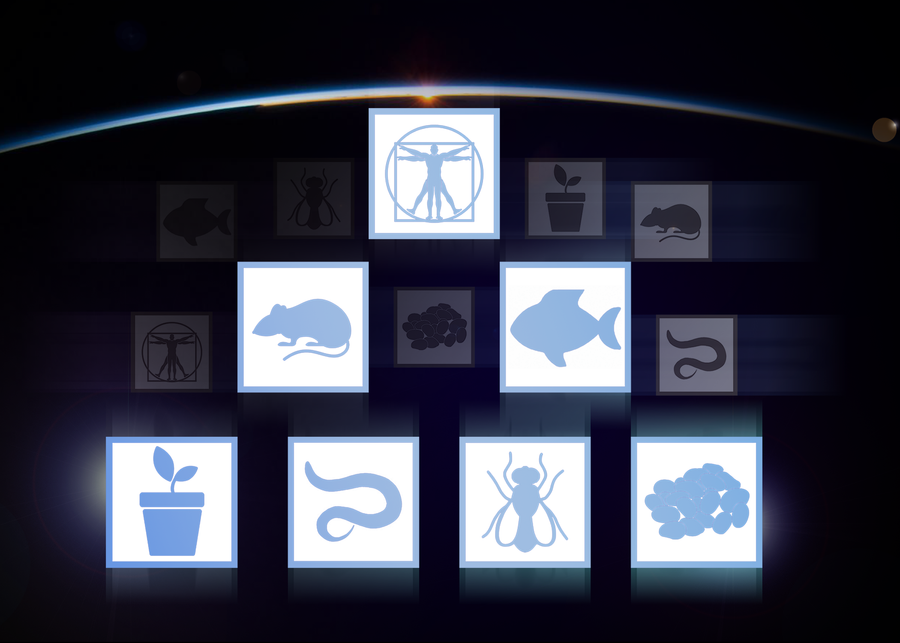 About OSDR - NASA Science