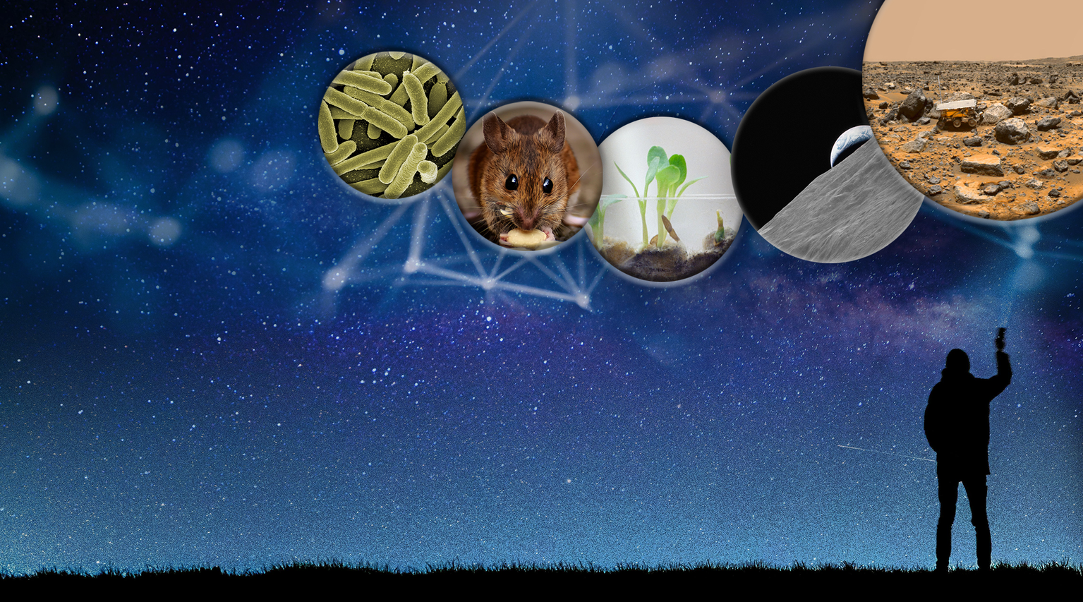 About OSDR - NASA Science