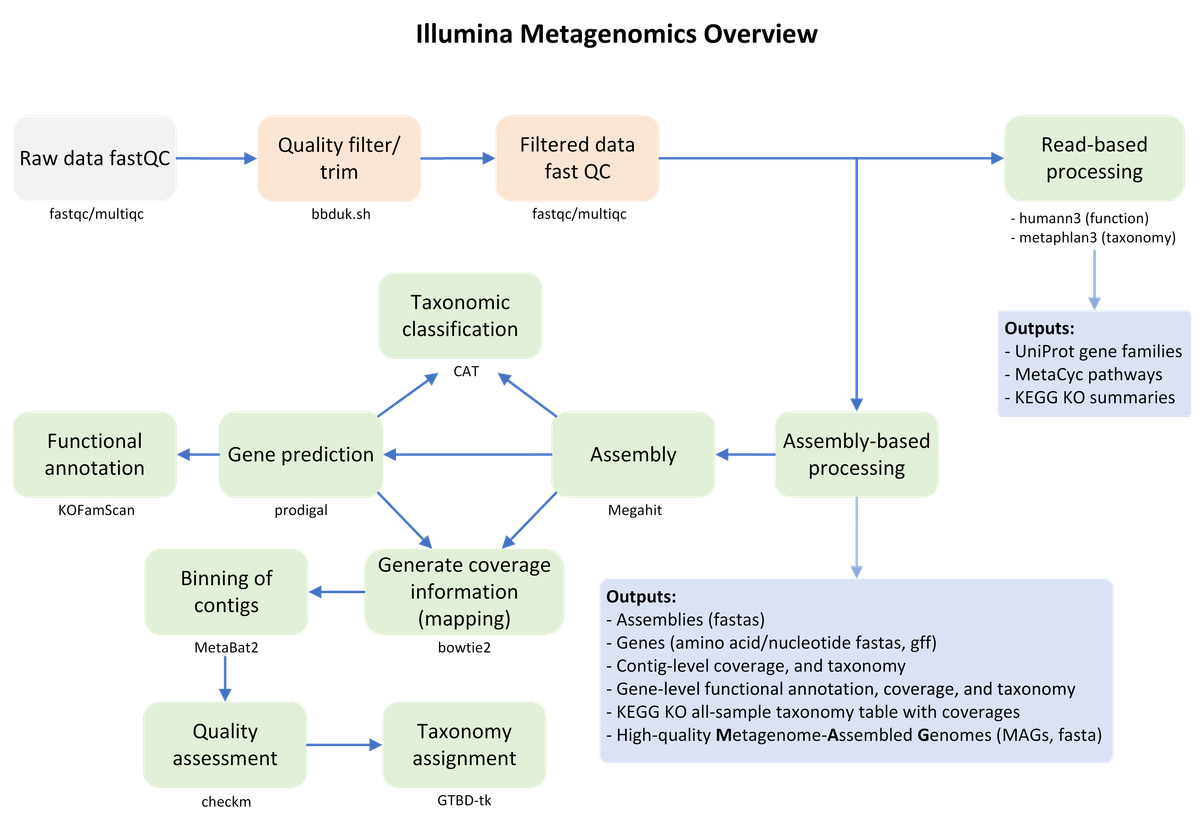 Metagenomics - NASA Science