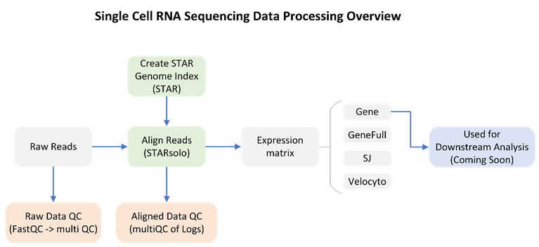 Single Cell RNA Sequencing (scRNA-Seq) - NASA Science