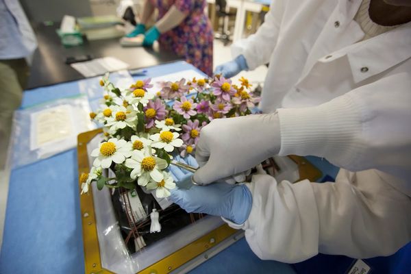 NASA Space Labs - Advancing research in space, on any platform, anywhere