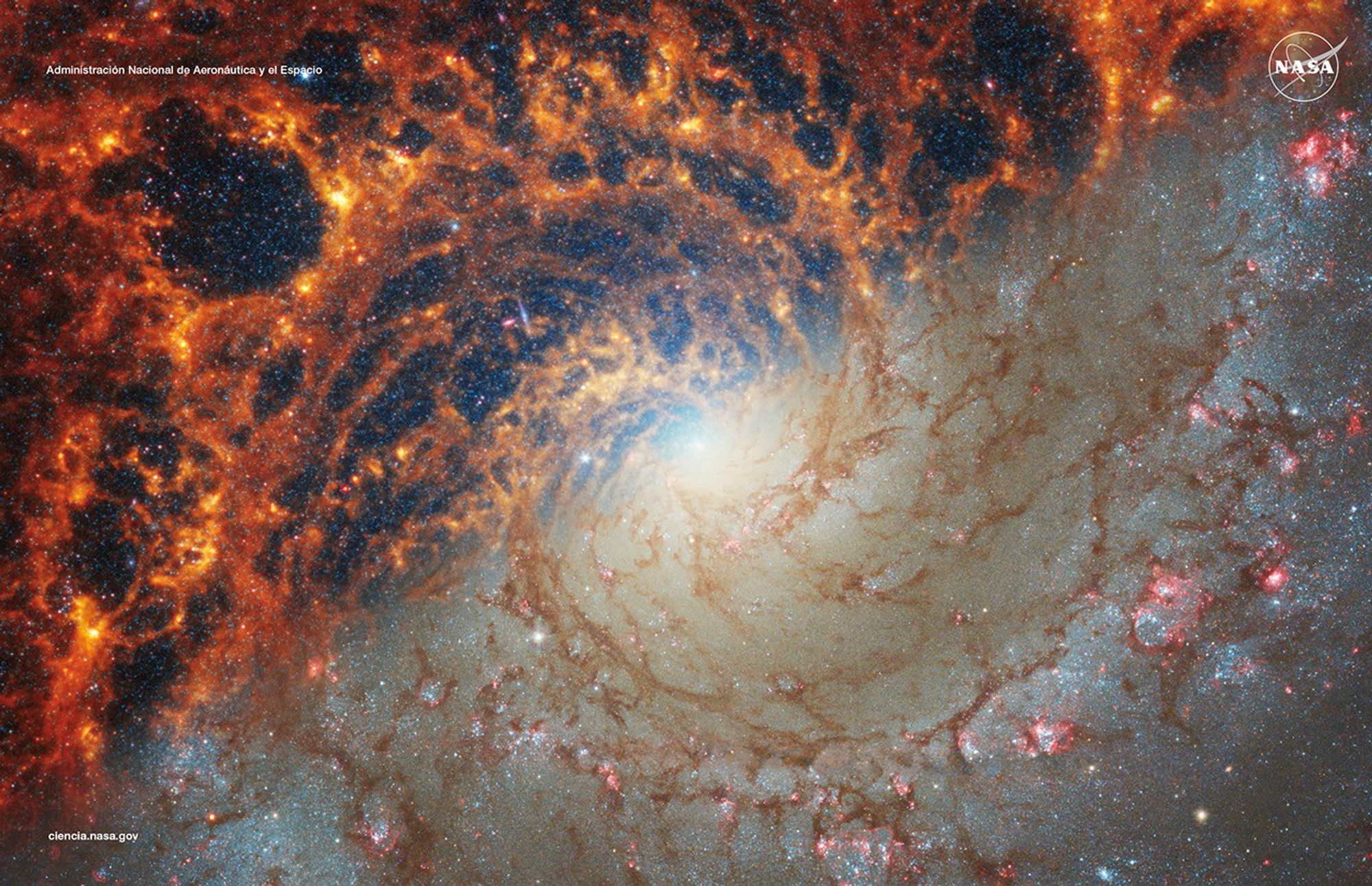 Gravitational Wave SIG LISA Seminar 24 July 2025 - NASA Science