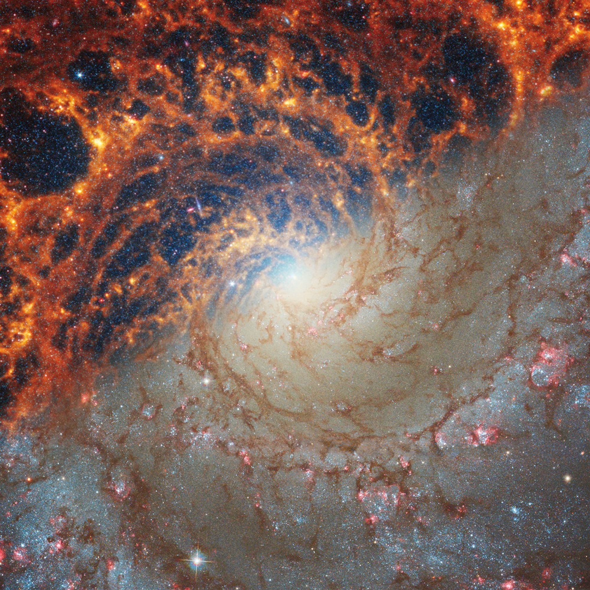 August 2025 - NASA Science