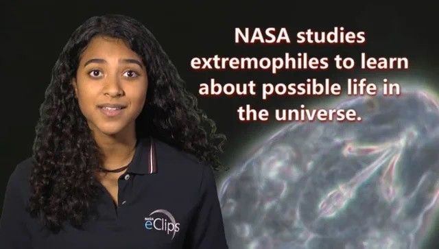 Our World: What is an Extremophile? - NASA Science