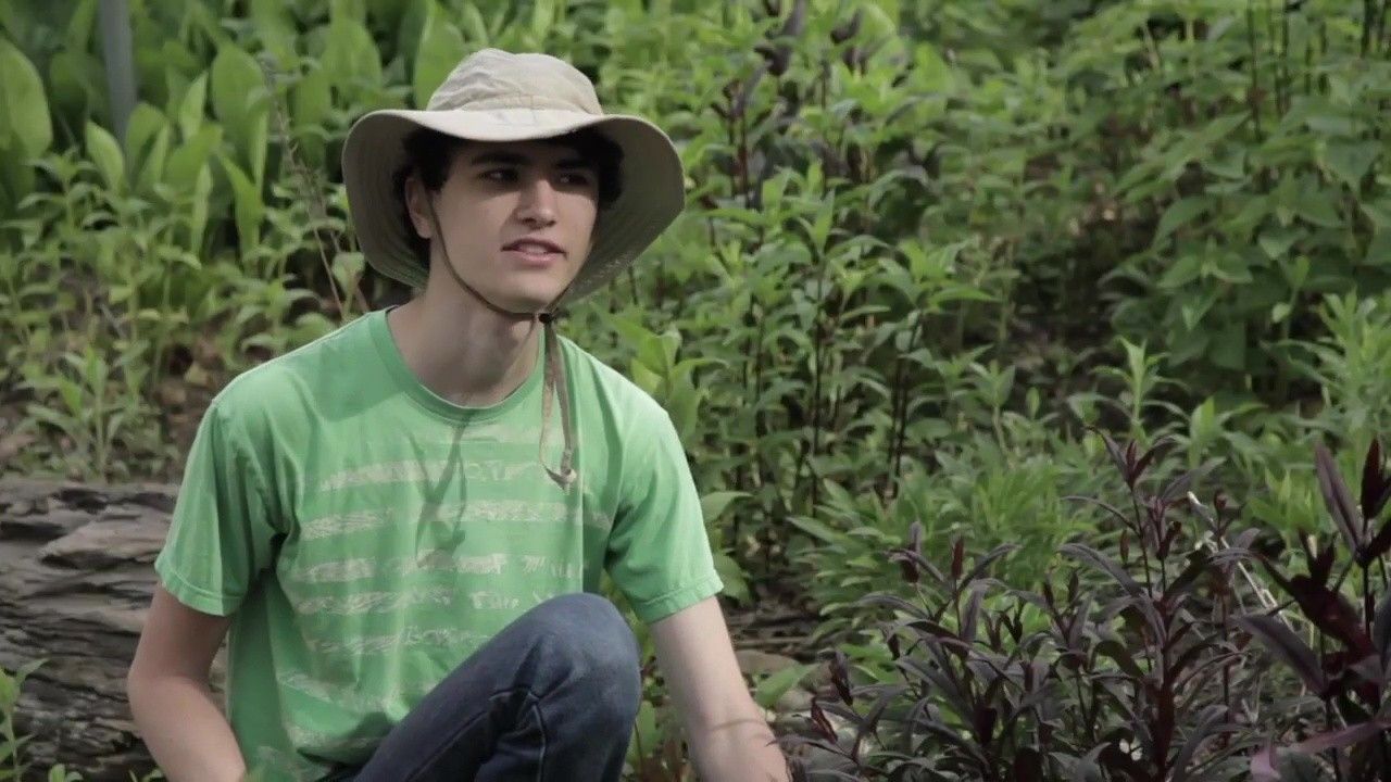 Spotlite: Plant Winter Adaptations Arlington - NASA Science