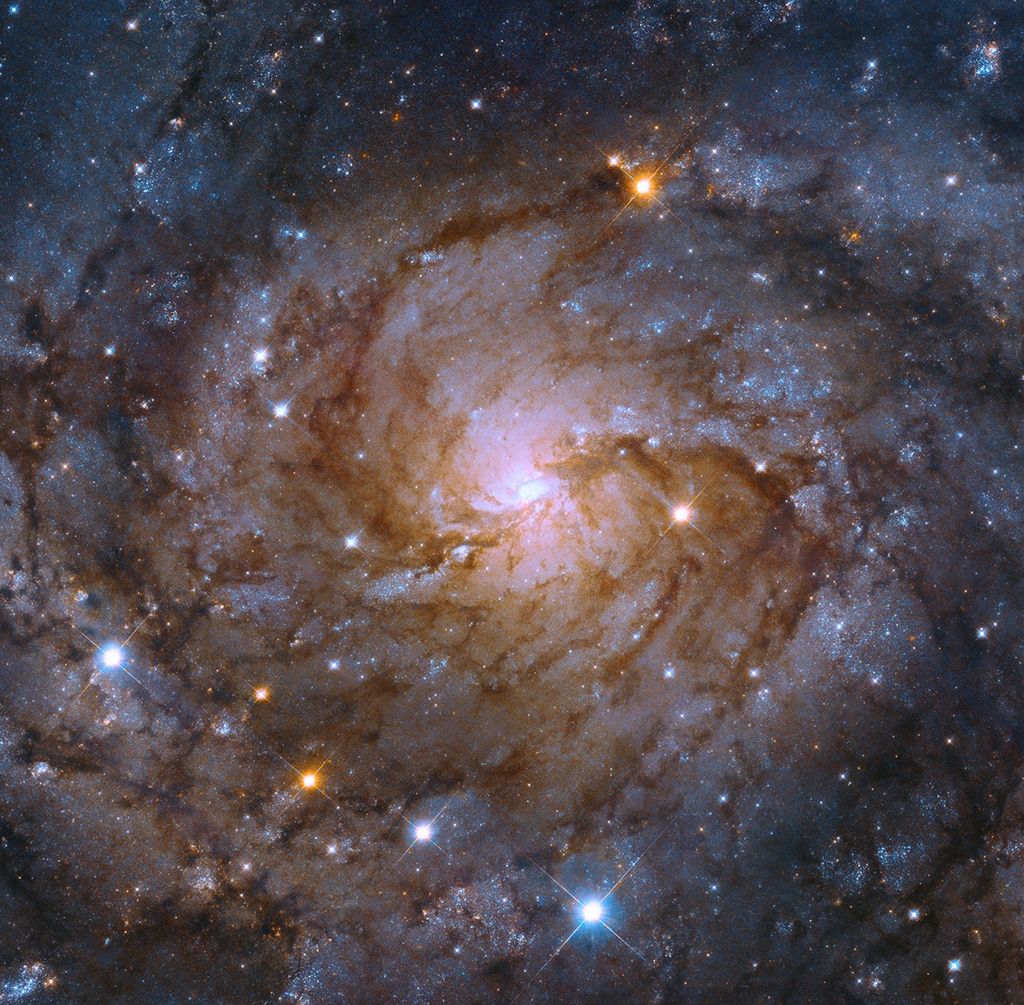 Explore the Night Sky - NASA Science