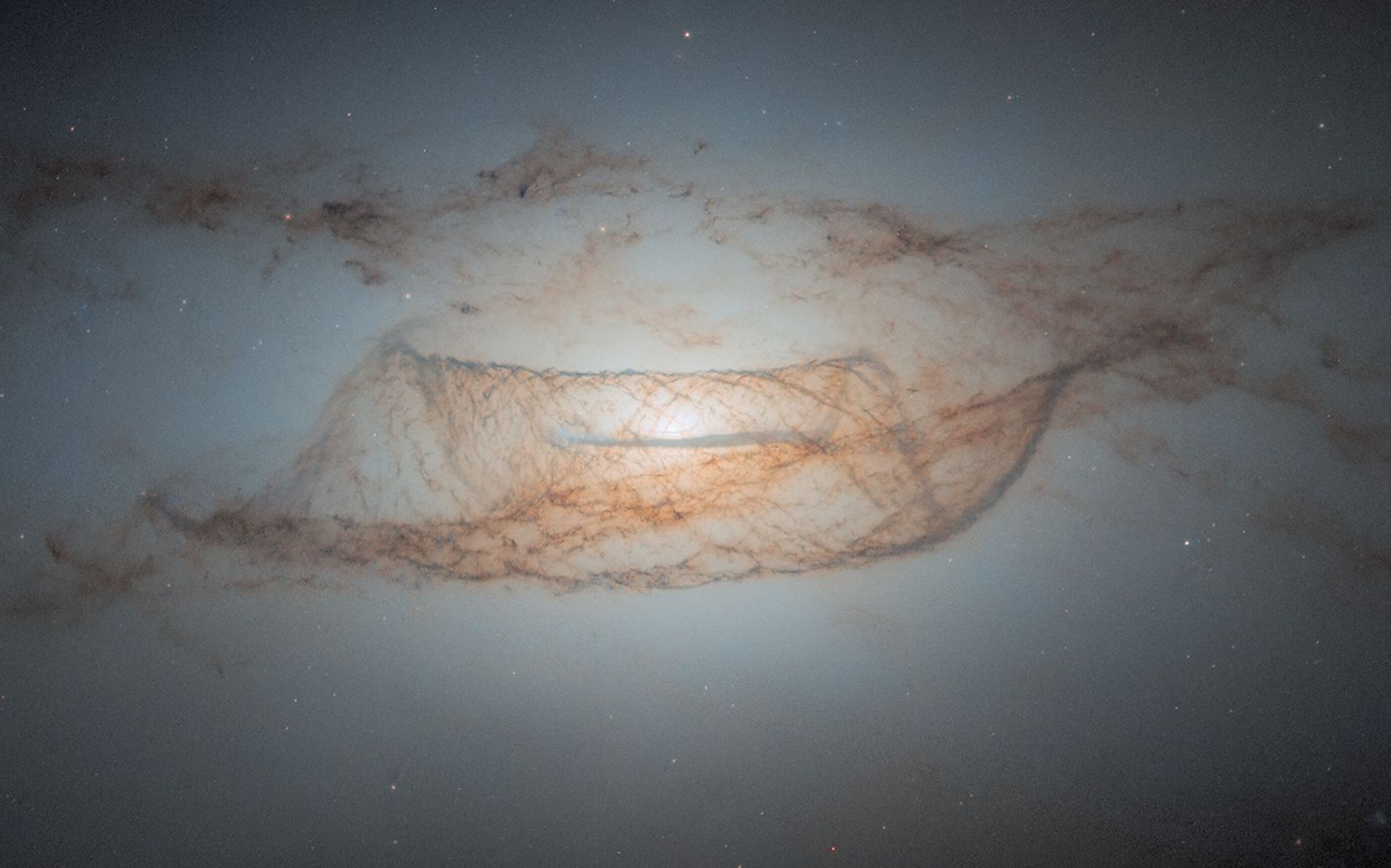 Hubble Sees Galaxy with Dark Rings in New Light - NASA Science