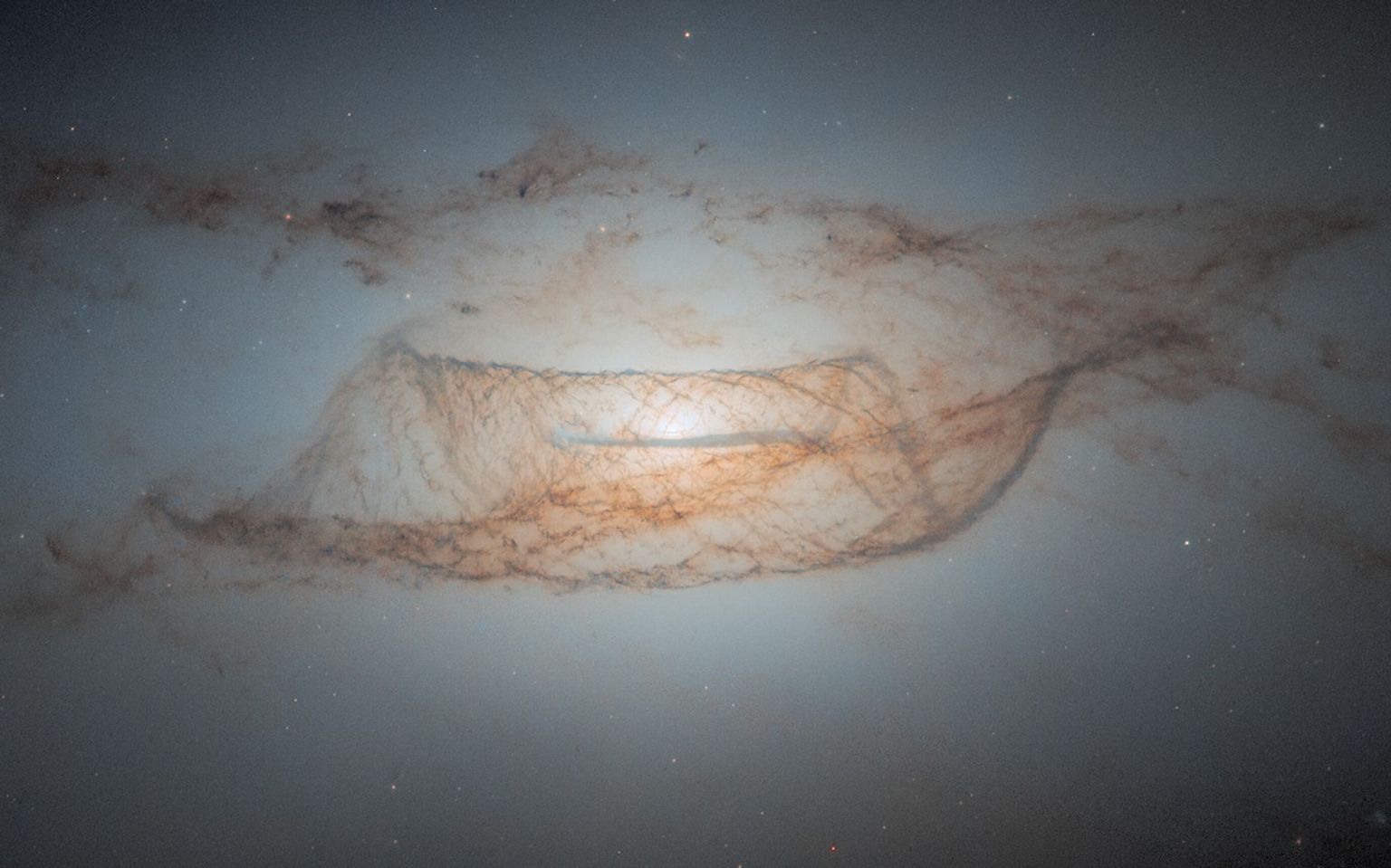 Hubble Sees Galaxy with Dark Rings in New Light - NASA Science
