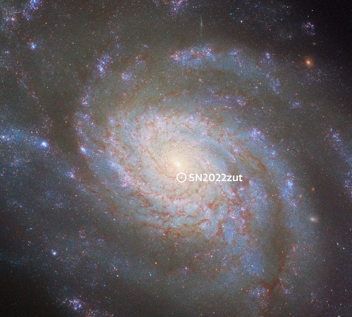 Stellar Explosions - NASA Science