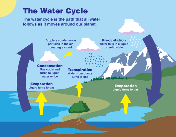 What Is the Water Cycle? - NASA Science